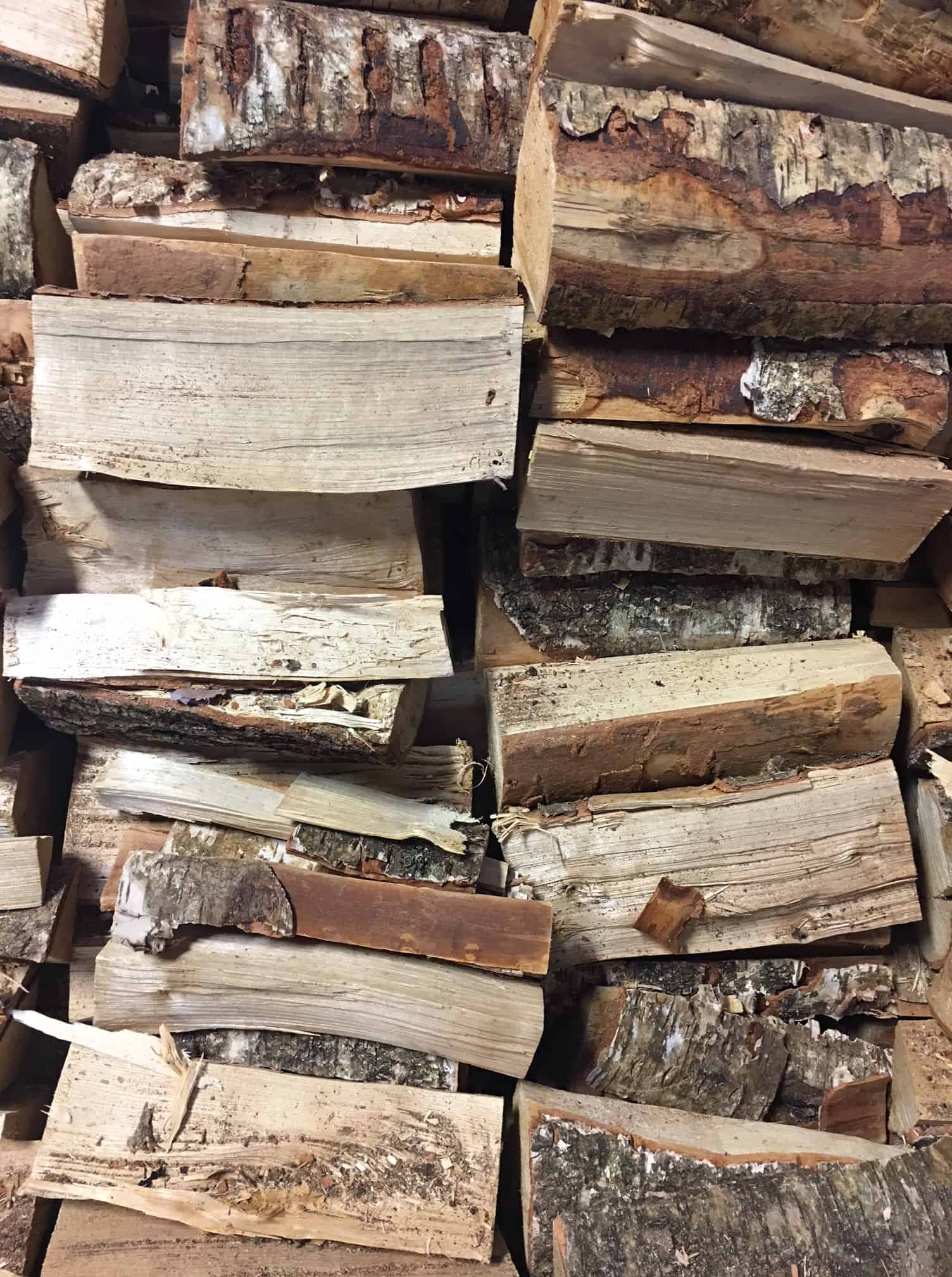 Grow Your Own Firewood | Charlton & Jenrick