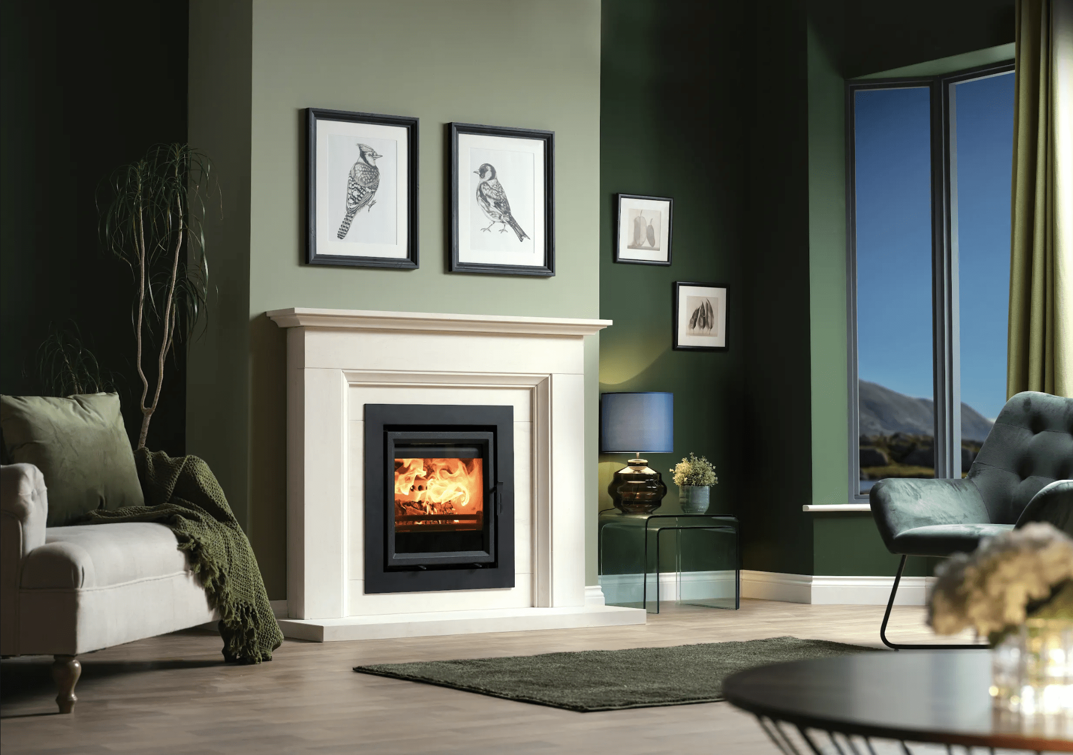 Fireline Ecostar 5 Inset Stove | Charlton & Jenrick