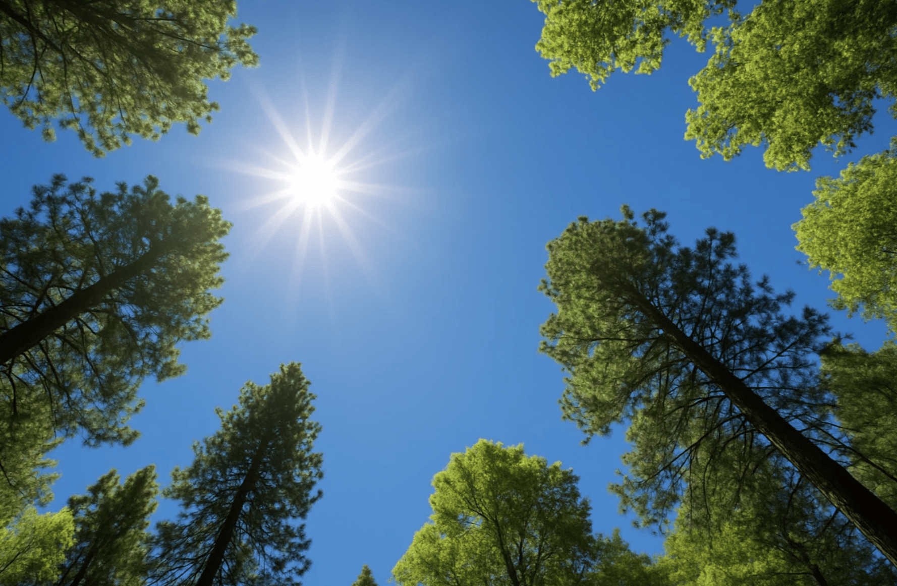 Smoke Control Areas. Benefits, Drawbacks, and How Ecodesign Stoves Make a Difference | Charlton ...